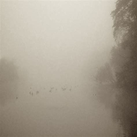 Reflections Sager Reeves Gallery