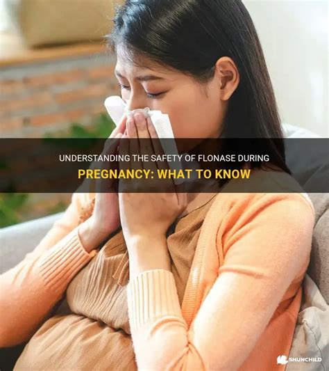 Understanding The Safety Of Flonase During Pregnancy What To Know