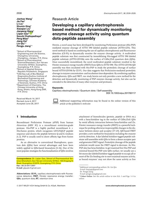 Pdf Developing A Capillary Electrophoresis Based Method For