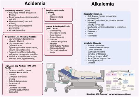 Abg Calculator My Endo Consult