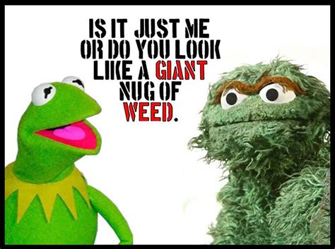 Kermit The Frog Instagram Quotes Quotesgram