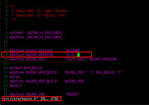 Nginx干货（一）隐藏nginx标识与版本号nginx 去nginx标识 Csdn博客