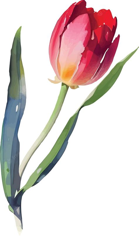 Blume Premium Vektor