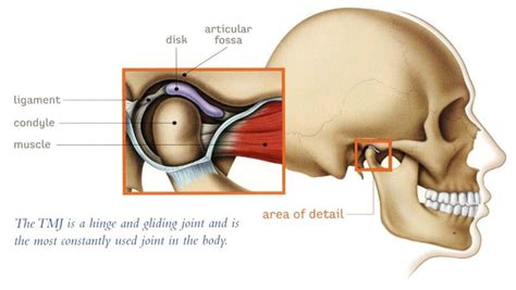 Tmj Mid State Oral Surgery And Implant Center