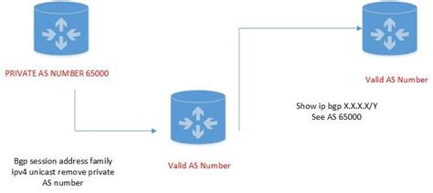 Remove Private As In Bgp Session Cisco Community