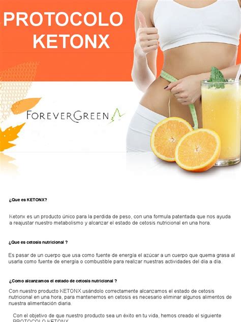 Protocolo Ketonx Nuevo 12 18 Pdf Pdf Ensalada Cetosis