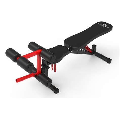 Agb Preacher Curl And Leg Extension