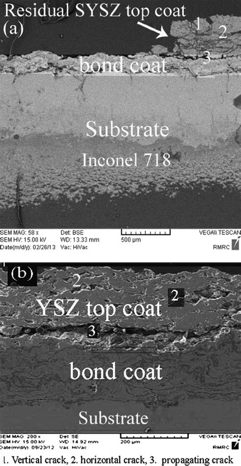 Sem Micrographs Of Polished Cross Section Of Nanostructured A Sysz
