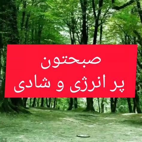 ‎آمل زیبا‎ ‎صبحتون بخیر⚘ آخرین پنجشنبه مرداد ماهتون به خیر و شادی♥️
