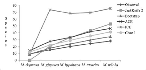 Accumulation Curve Of Observed Species Jackknife 2 Bootstrap Ace