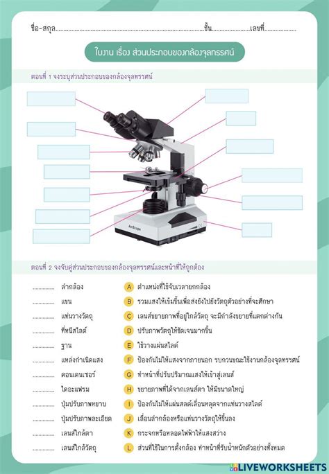 ใบงาน เรื่อง ส่วนประกอบของกล้องจุลทรรศน์ Samanya