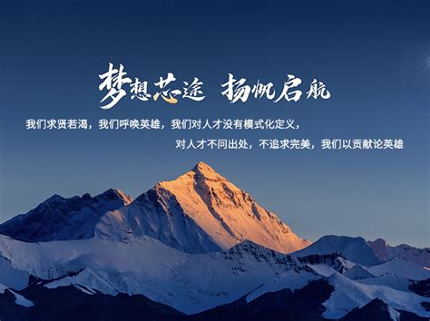 深圳方正微电子有限公司