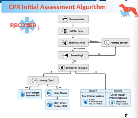 Cpr Fcp Week 3 Flashcards Quizlet