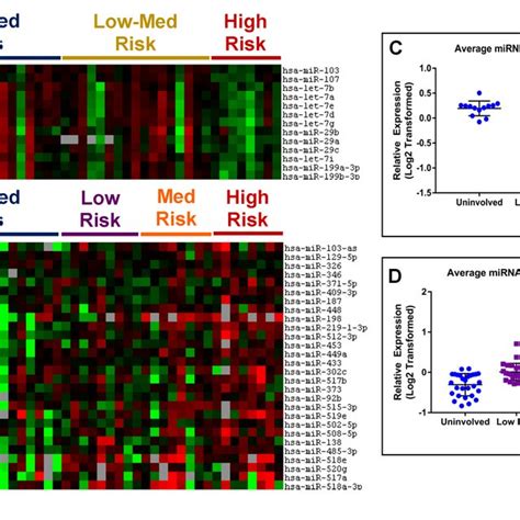 Analysis Of Clusters 1 And 3 Identified From Mirna Profiling Of Download Scientific Diagram