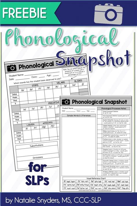 Stopping Phonological Process What Is It Free Worksheets Artofit