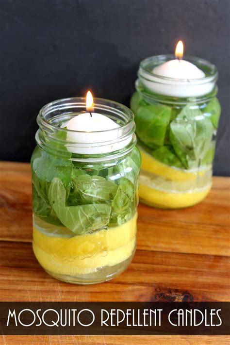 How To Make DIY Mosquito Repellent Candles Angie Holden The Country