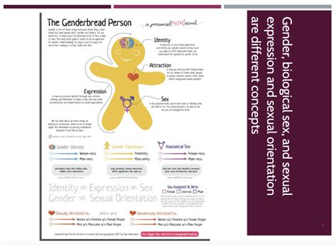Michigan District Uses Genderbread Person In Health Lessons