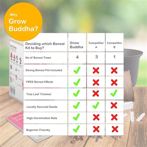 Kit Cultiva tu propio bonsái B07R7JBDXR Encarguelo com