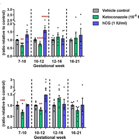 Effects Of Manipulating Androgen Production In Ex Vivo Cultured Human