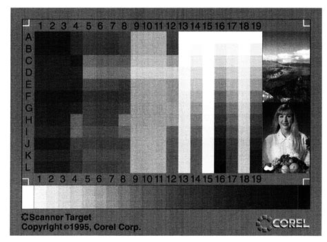 МФУ Xerox Phaser 3100 Mfp