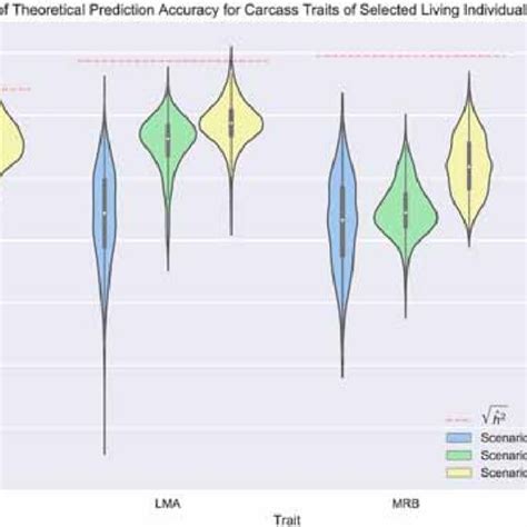 Distribution Of Theoretical Prediction Accuracy Of Ebv For Carcass Download Scientific Diagram