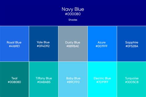 What Color Is Navy Blue How To Work With It Shades And Related Colors Picsart Blog