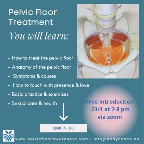New Education Pelvic Floor Awareness