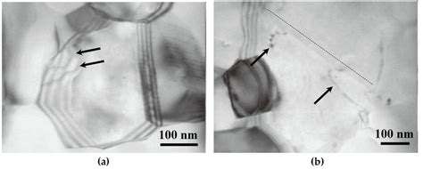 the dislocation grain boundary interaction in an ultrafine grained al