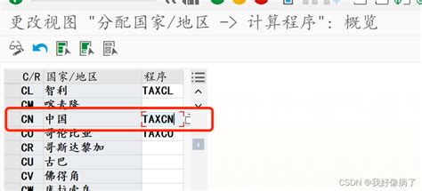 Sap 报错消息号no Ff703未在国家地区cn中指定计算程序公司代码未分配给国家或用于计算程序的国家不能决定租税管辖代码 Csdn博客