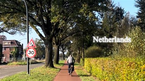 🇳🇱 네덜란드 교환학생 브이로그 할로윈이 가미된 일상 Youtube