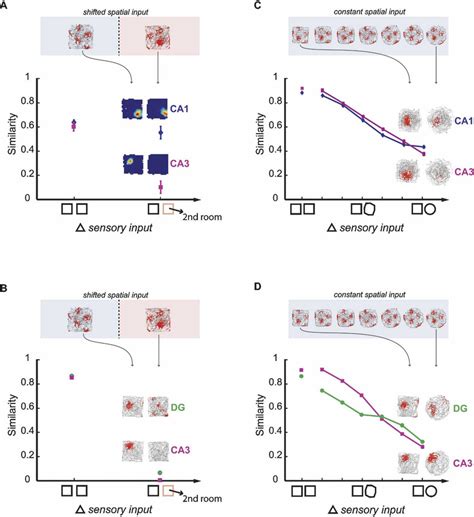 Pattern Separation And Pattern Completion Processes In Ca3 Are Bound To