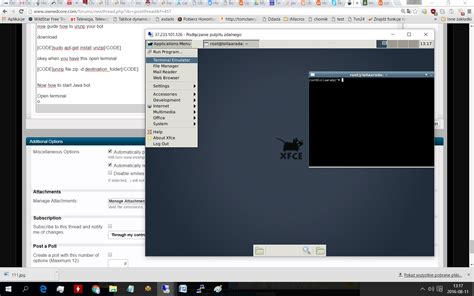 Guide How To Run Pokemon Java Bots On CHEAP VPS LINUX Without GPU