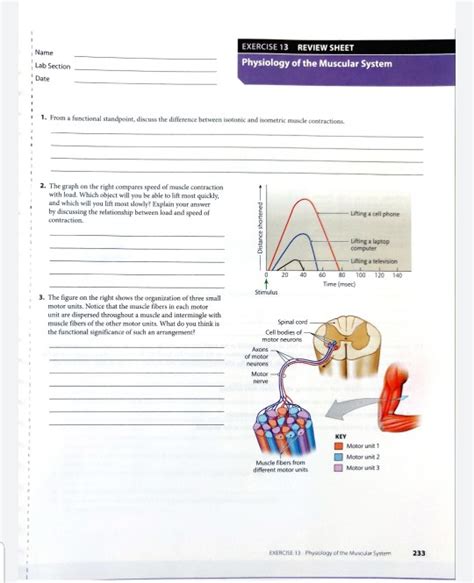 Solved Name Lab Section Date EXERCISE 13 REVIEW SHEET Chegg