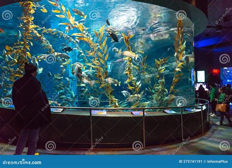 Visitors At Ripley S Aquarium In Toronto Editorial Photo Image Of