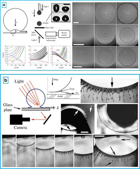 Physics Of Droplet Impact On Various Substrates And Its Current