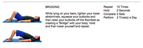 Free Intermediate Knee Exercises Pdf Download Dr Steve