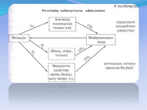 Оксидтер - презентация онлайн