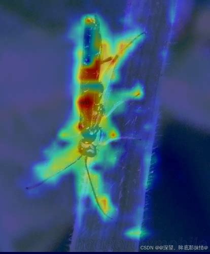 Mmdetection报错合集mmdet报错路径问题 Csdn博客