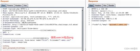 Web攻防 通用漏洞and文件上传and二次渲染andhtaccessand变异免杀ctf 二次渲染png Csdn博客