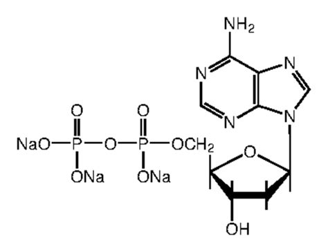 2 Deoxyadenosine 5 Diphosphate Trisodium Salt 97 Mp Biomedicals 25mg