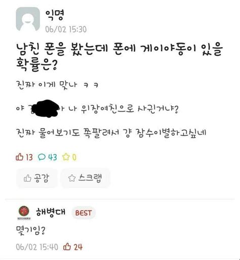 남친폰에 야동 있어서 헤어지고싶다는 처자 개9
