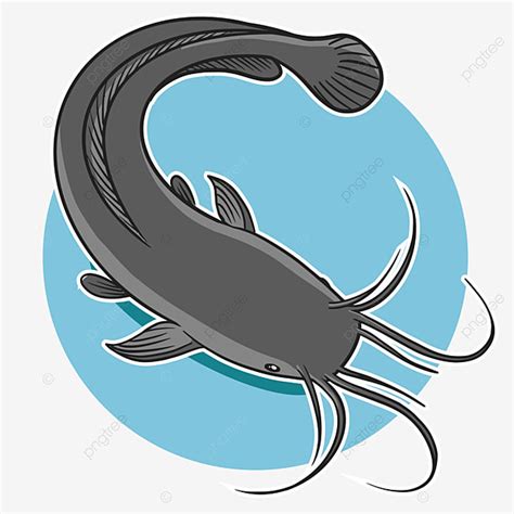 Catfish Clipart Transparent Background Catfish Vector Catfish Fish