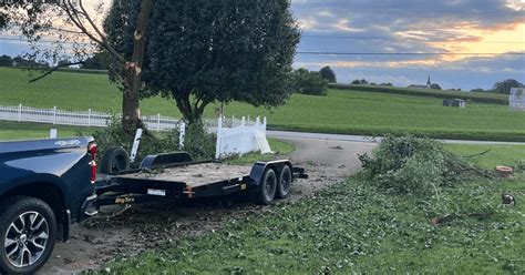 Emergency Tree Removal Taking Swift Action In Critical Situations