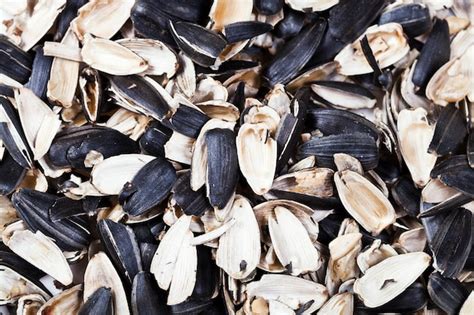 Premium Photo Husks Of Roasted Sunflower Seeds