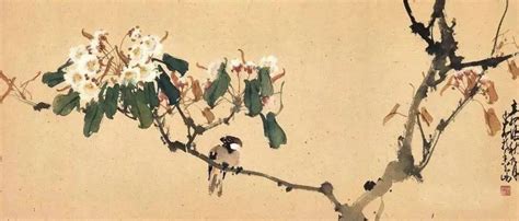 国画中的梨花洁白透亮令人心动 小鸟 田世光 陆抑