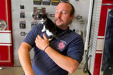 Mass Firefighters Reunite With Kitten They Rescued From Storm Drain