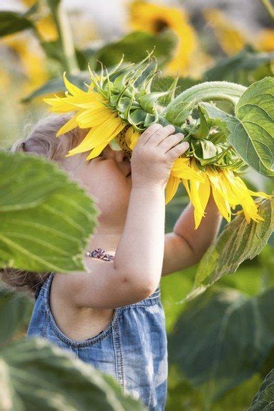 Proyectos De Jardinería Para Niños Cómo Crear Un Tema De Jardín De