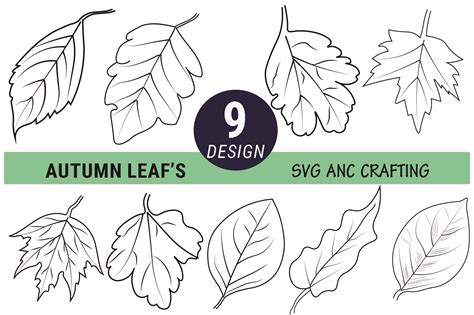 Set Of Autumn Leaf Line Drawing Svg Craf Graphic By Graphicart