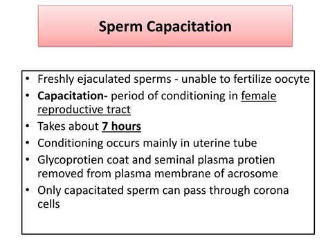Ovulation To Implantation Pdf