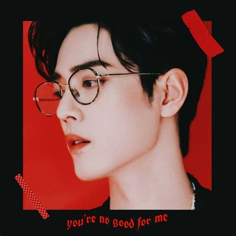 Xiao Zhan Icon